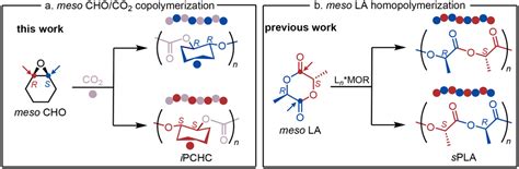 Disclosing Multiple Factors Influencing Enantioselective Copolymerization Of Co 2 With Meso