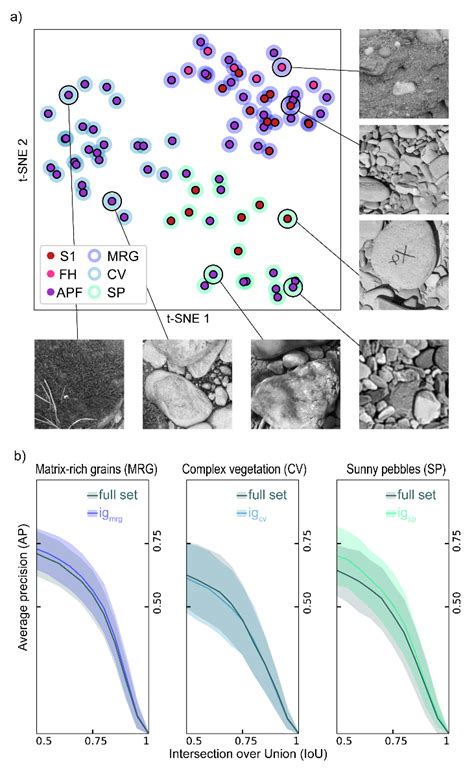 Classes Of Image Types For Segmentation Inferred From The Style Vectors