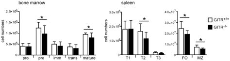 Bone Marrow And Spleen Cells From Gitr 129s1 Strain White Bars Download Scientific