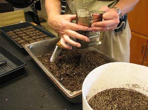 Soil Blocks Update The Southern Agrarian