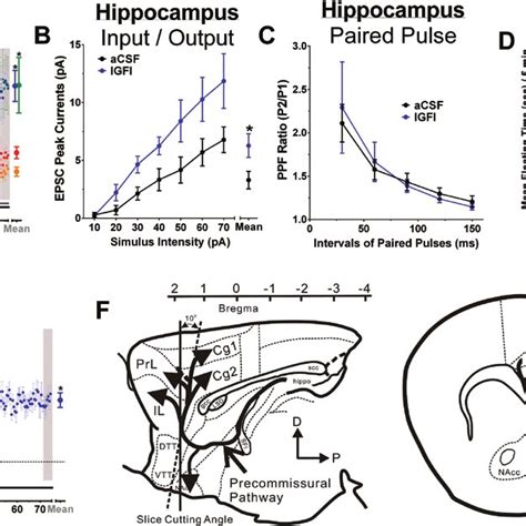 Synaptic Ampar Nmdar Ratio Is Decreased In Mixed Compared To Neuronal Download Scientific