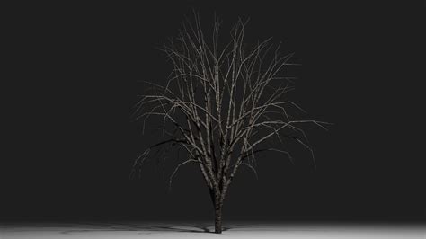3d Asset Tree