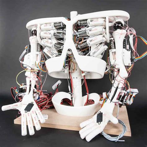 Roboy Tendon Driven Humanoid Robot Gagdaily News