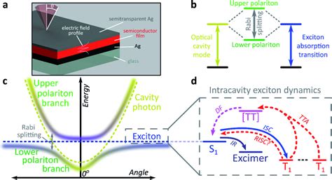 Strong Light Matter Coupling In Optical Microcavities A Microcavity Download Scientific