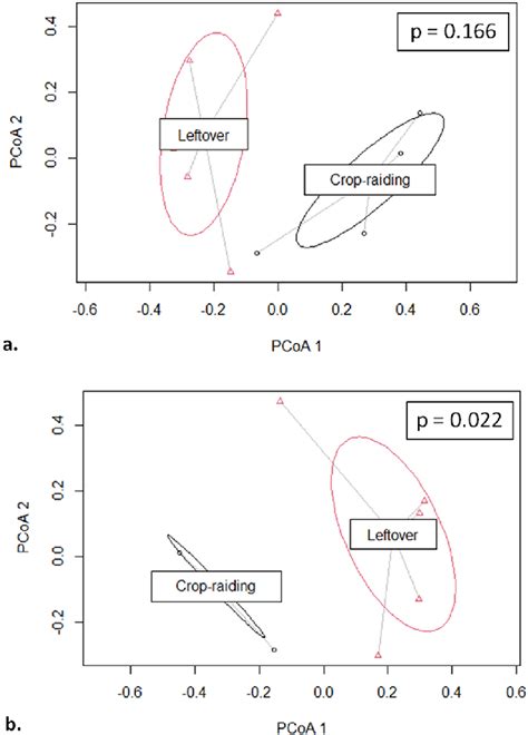 Pcoa Plot Of Multivariate Homogeneity Of Groups Dispersions Variances