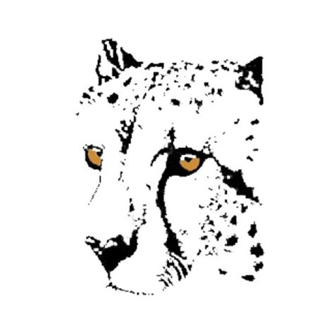 swift path by huasen lbalwe