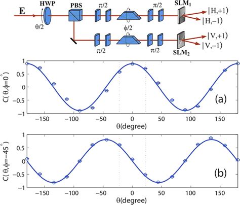 the correlation functions c θ ϕ as a function of polarization