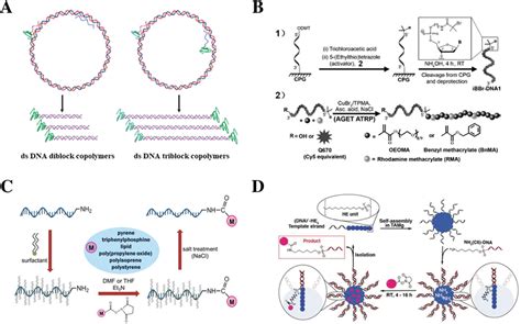 The Recent Developed Modification Methods Of Synthesis Dna‐organic Download Scientific Diagram