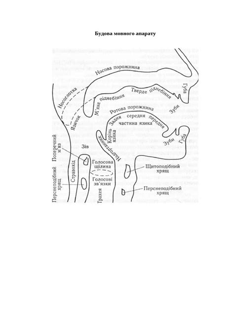 Будова мовного апарату Pdf