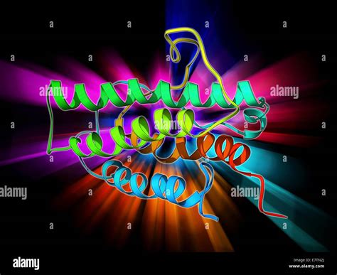 Livelli Di Eritropoietina Immagini E Fotografie Stock Ad Alta Risoluzione Alamy