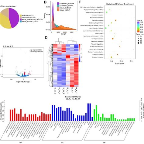 Prediction And Function Analysis Of Lncrna Target Genes A Lncrna