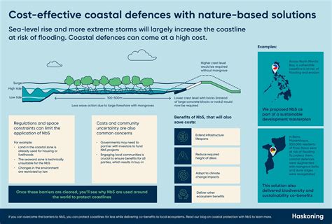 Nature Based Solutions Can Reduce Coastal Protection Costs Haskoning