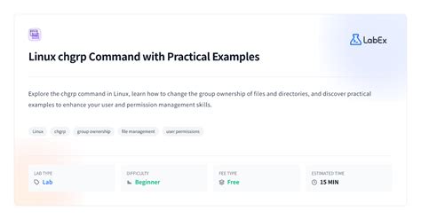 Linux Chgrp Command With Practical Examples Labex