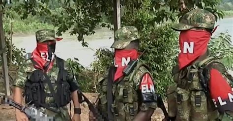 Estos Son Los Grupos Armados Que Harán Parte Del Cese Al Fuego ¿cuál