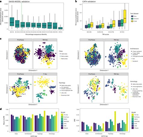Tm Vec Structural Similarity Prediction A D Two Tm Vec Models Were Download Scientific Diagram