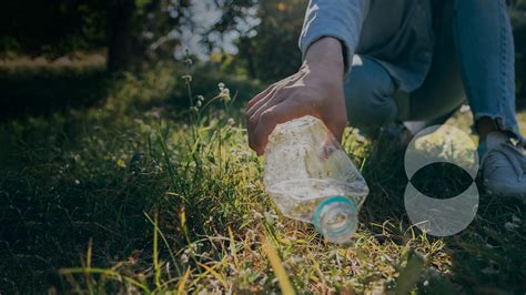 Aligning Fragments For A Circular Plastics Economy The Conference Board Of Canada