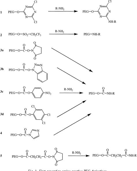 Reticuloendothelial System Semantic Scholar