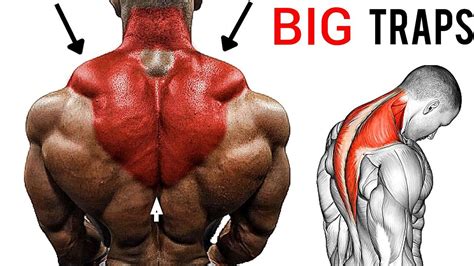 Traps Workout Exercises Gym To Build Big Traps Trap Traps Workout Best Gym Workout Workout
