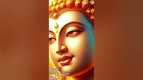 🙏🙏🙏🌼🌼🌼සුබ උදෑසනක් වේවා අනන්ත වූ බුදුගුණ බලයෙන් රෝග බිය දුරු වේවා