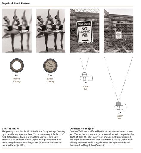 gcse photography blog depth of field