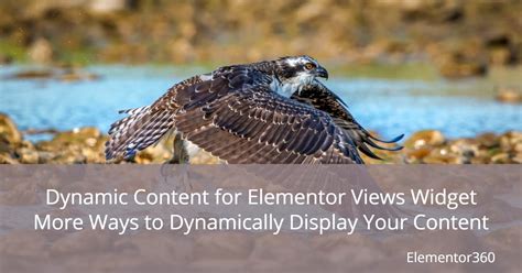 Dynamic Content For Elementor Views Widget More Ways To Dynamically