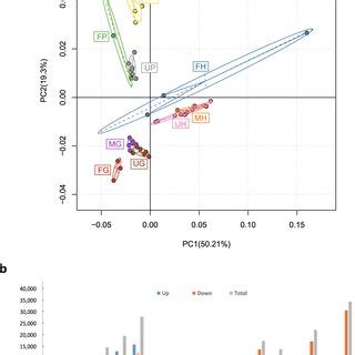 Principle Component Analysis PCA And Different Gene Expression