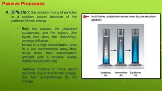 CELL TRANSPORT PROCESS PPTX