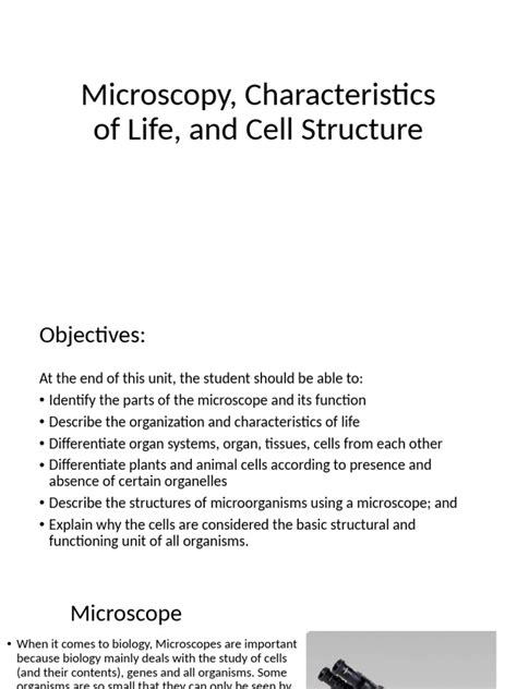 Grade 7 Lesson 1 Microscope And Cell Biology Pdf Microscope