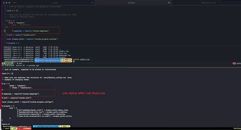 Format Stylua Not Working · Issue 1613 · Nvchadnvchad · Github