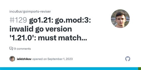 Go Go Mod Invalid Go Version Must Match Format Issue Incu Us