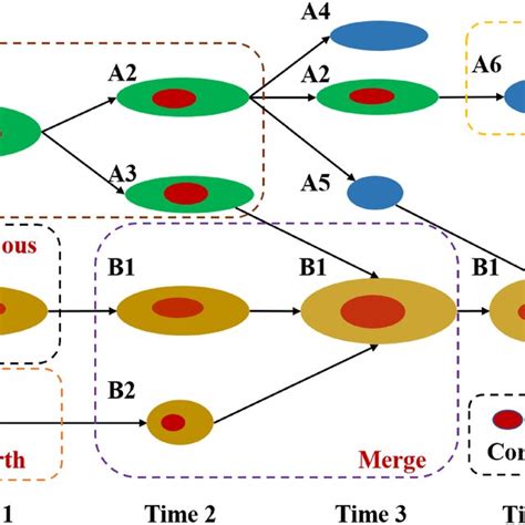 Evolution Of All Components Of Two Tracked Deep Convective Systems Download Scientific Diagram