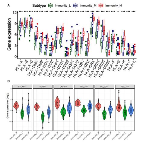 gene expression heatmap volcano map and function enrichment analysis