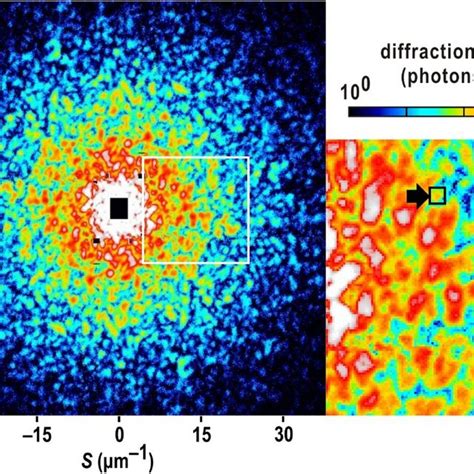 Typical Diffraction Pattern From The Yeast Nucleus In The Interphase Download Scientific