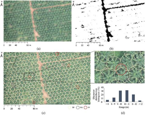 Palm Tree Detection At Validation Site 1 A Original Uav Image B Download Scientific