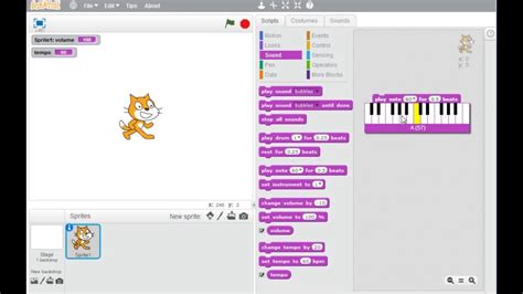 scratch programming introduction to sound block in urdu youtube