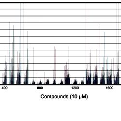 High Throughput Screening
