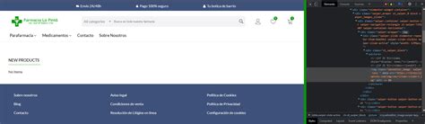 Cant Use Swiper Slider With Easy Builder Create Online Prestashop Site