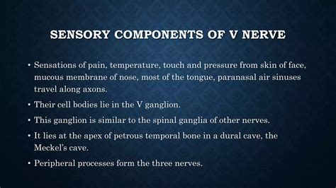Trigeminal Nerve And Its Course Pptx