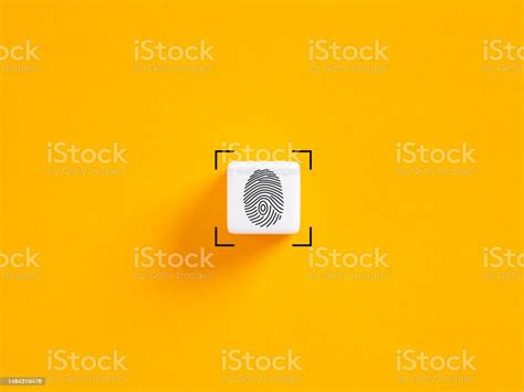 Fingerprint Scan Push Button Encryption And Access Control System For Identity Verification Or