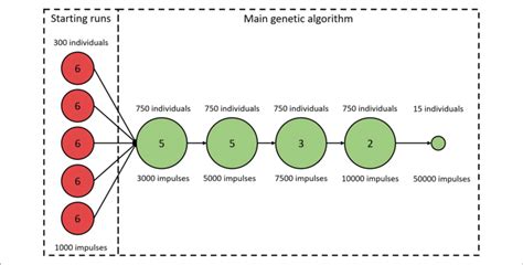 a schematic representation of the genetic algorithm circles