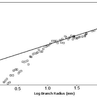Log Log Relationship Between Length And Radius Of A Subset Of Norway Download Scientific