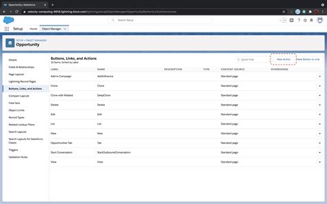 How To Launch A Salesforce Screen Flow From A Button