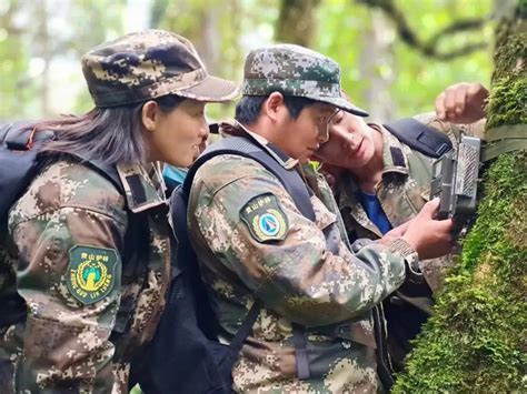 7 31世界护林员日 致敬大山深处的守护者 关注森林