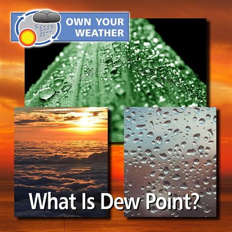 Definition Of Dew Point In Weather DEFINITION JKS