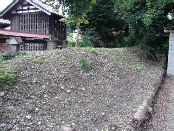 矢田堀城金山西殿と呼ばれる泉氏 栃木の城α