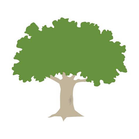 Illustration Of Trees Easy Drawing PNG Illustration Of Trees Easy Drawing PNG