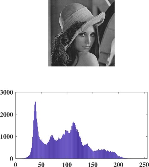 Original Greyscale Image And Its Histogram Download Scientific Diagram