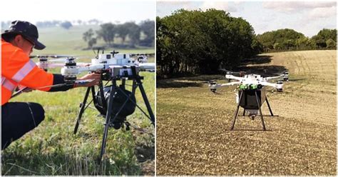 Drones That Plant Tree Seeds Are Here And They Re Restoring The World S Forests