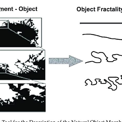 Fractal As A Tool For The Description Of The Natural Object Morphology Download Scientific