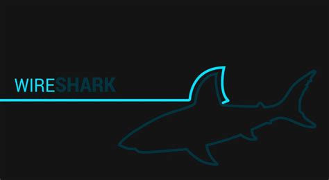 Wireshark Explained